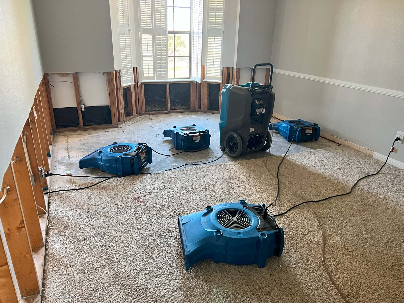 Best Water Mitigation Texas – Fast, Trusted Restoration Experts